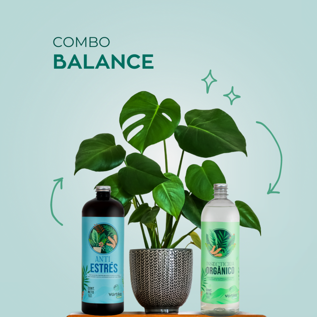 Combo balance