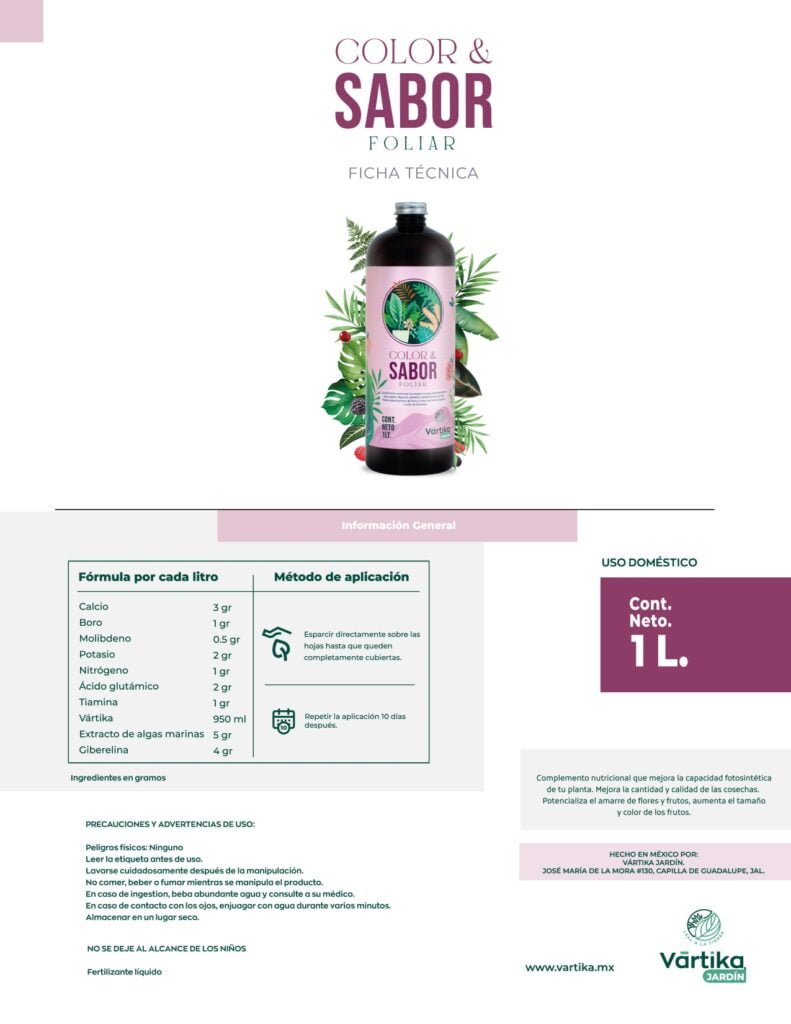 Color & Sabor - Vártika